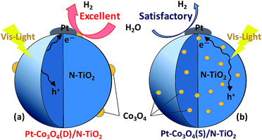 Loading of Co 3 O 4 onto Pt-modified nitrogen-doped TiO 2 ...