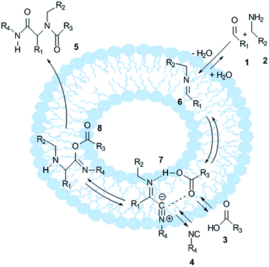 Efficient Ugi reactions in an aqueous vesicle system - RSC Advances ...
