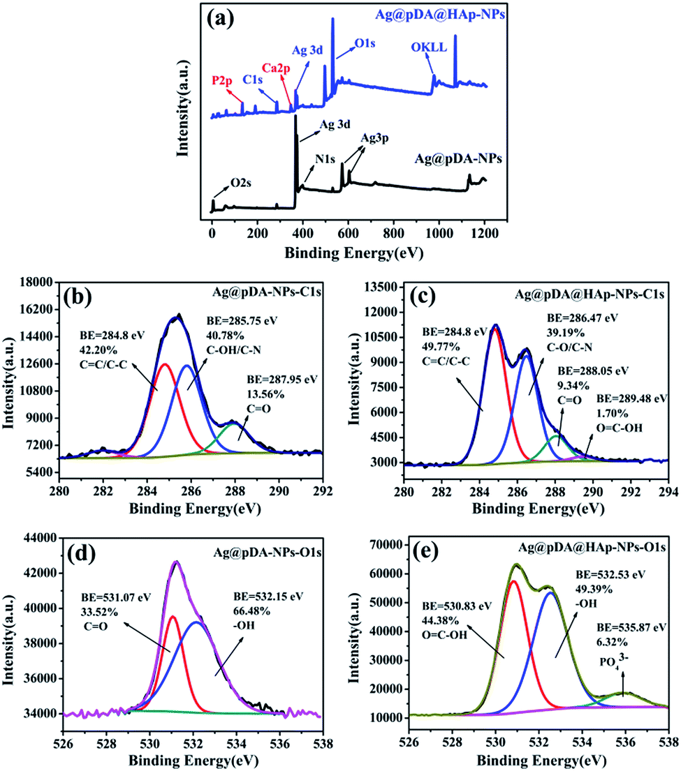 Fabrication of core–shell Ag@pDA@HAp nanoparticles with the ability for controlled release of Ag ...