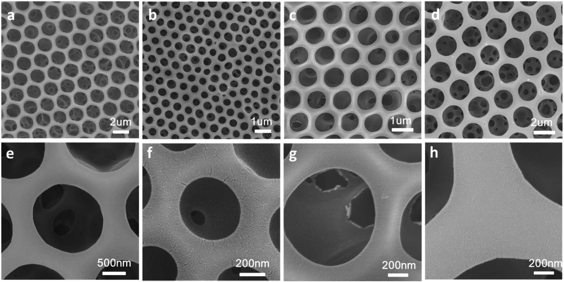 Combined use of breath figures process and microphase separation of PS- b -P4VP to produce ...