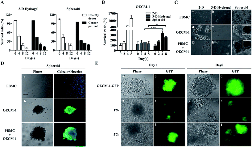 Isolation of label-free and viable circulating tumour cells (CTCs) from ...