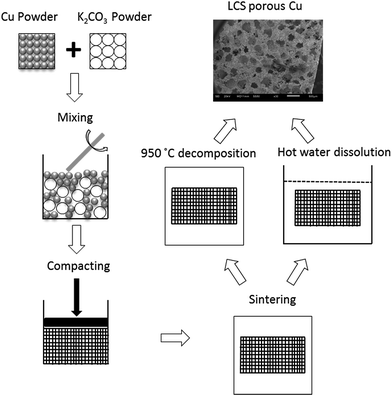 Effects of electrochemical reaction and surface morphology on ...