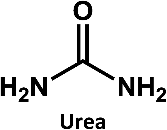 Shedding light on the effective fluorophore structure of high ...