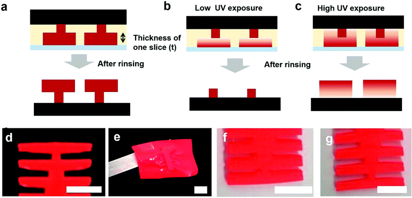 Preparation of PEG materials for constructing complex structures by ...