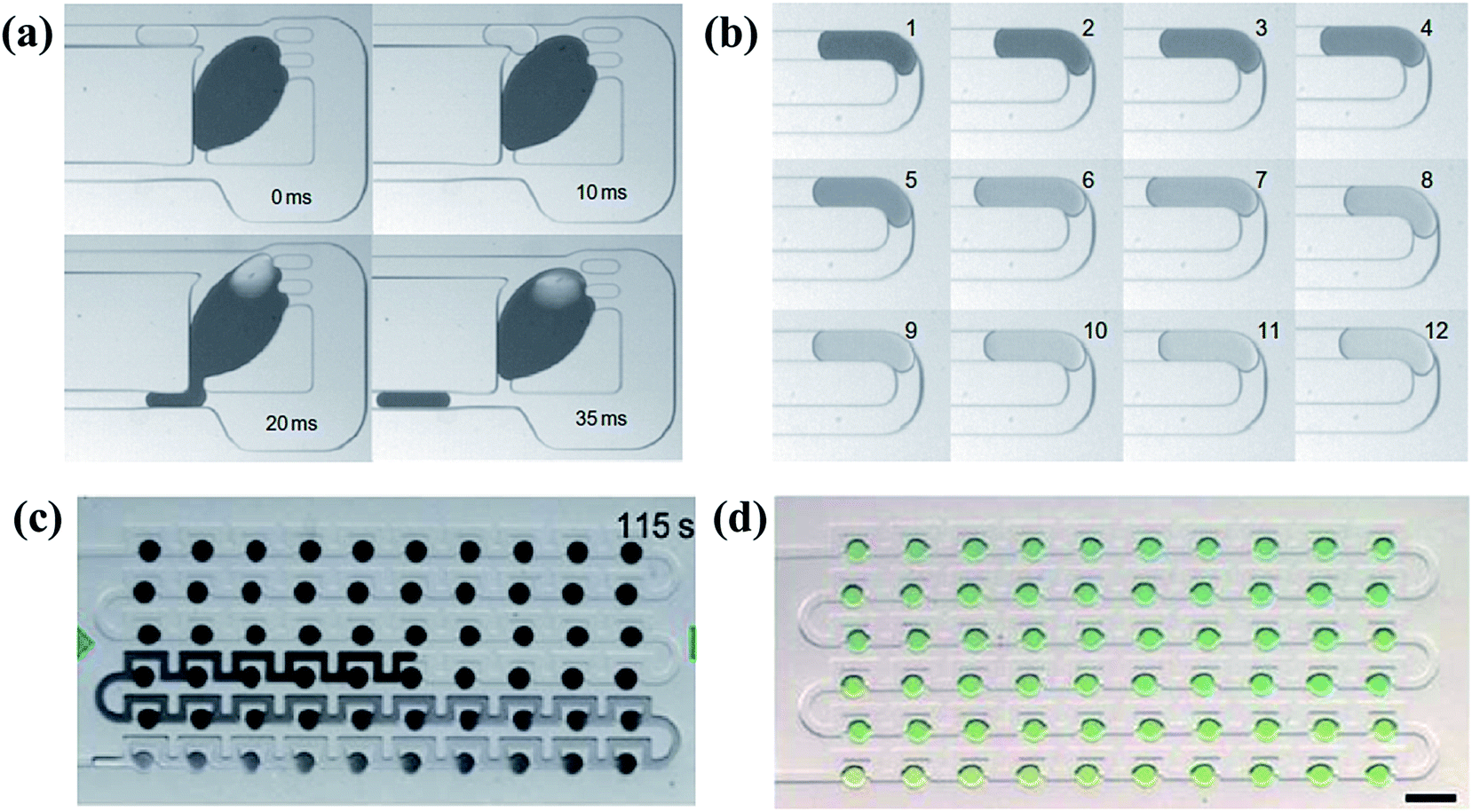 Concentration gradient generation methods based on microfluidic systems ...