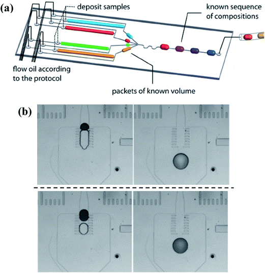 Concentration gradient generation methods based on microfluidic systems - RSC Advances (RSC ...
