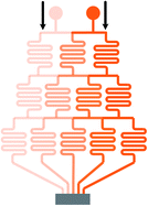 Concentration gradient generation methods based on microfluidic systems ...