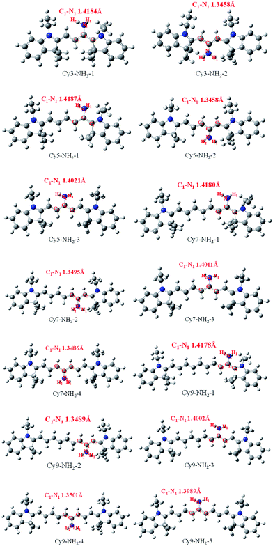 The photoprocess effects of an amino group located at different ...