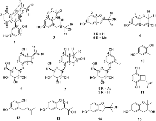 Hydroquinone derivatives from the marine-derived fungus Gliomastix sp ...