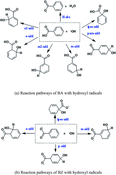 Reactions of hydroxyl radicals with benzoic acid and benzoate - RSC ...