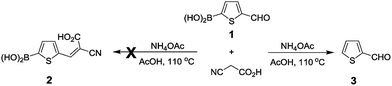 Acid-promoted metal-free protodeboronation of arylboronic acids - RSC ...