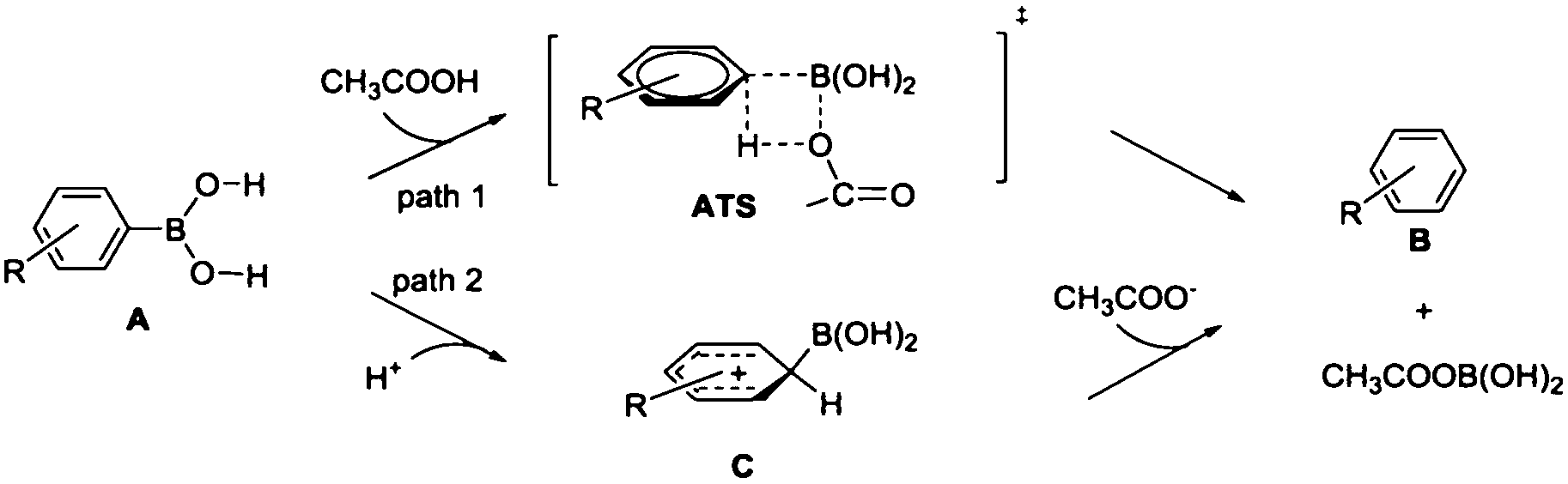 Acid-promoted metal-free protodeboronation of arylboronic acids - RSC ...