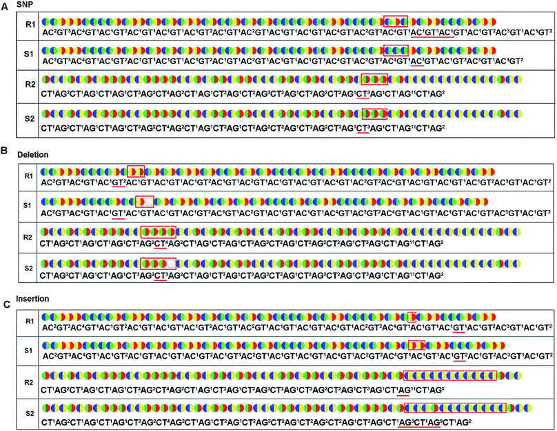 A real-time decoding sequencing technology—new possibility for high ...