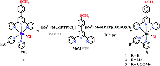 Synthesis, crystal structure and water oxidation activity of [Ru(terpy ...