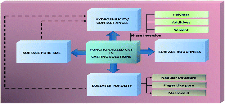 Functionalized carbon nanotube (CNT) membrane: progress and challenges ...