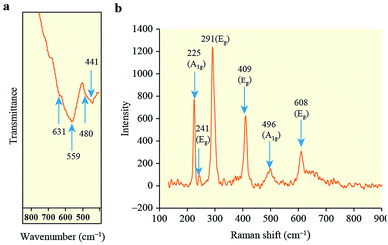 Hematite nanoparticle clusters with remarkably high magnetization ...