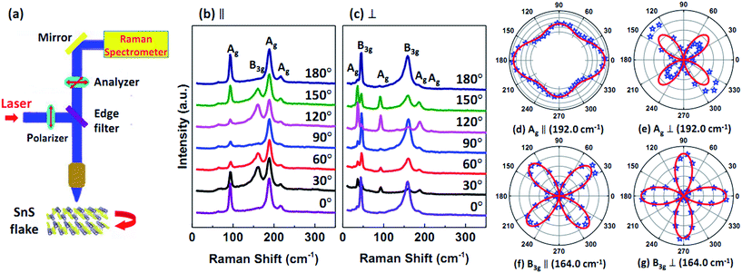 Revealing anisotropy and thickness dependence of Raman spectra for SnS ...