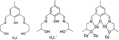The effect of additional methyl on the magnetic relaxation and toroidal ...