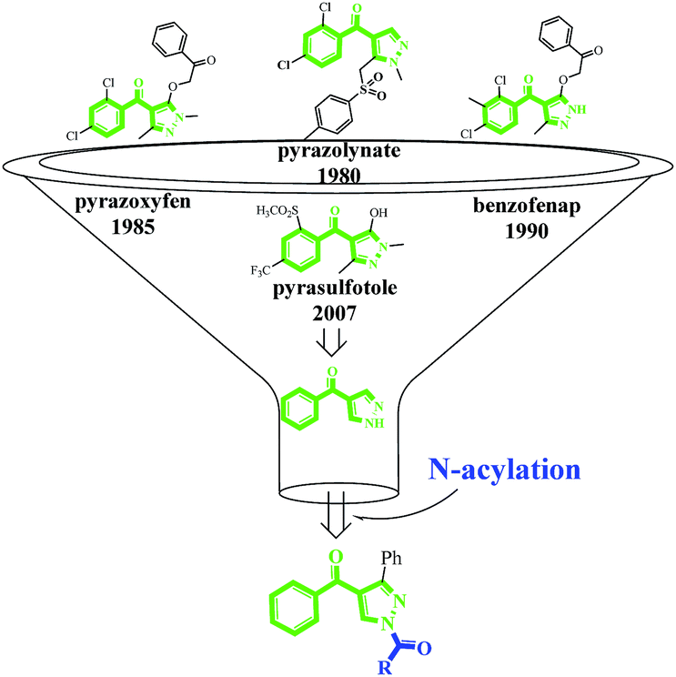 Design, synthesis, and herbicidal activity of pyrazole benzophenone derivatives - RSC Advances ...
