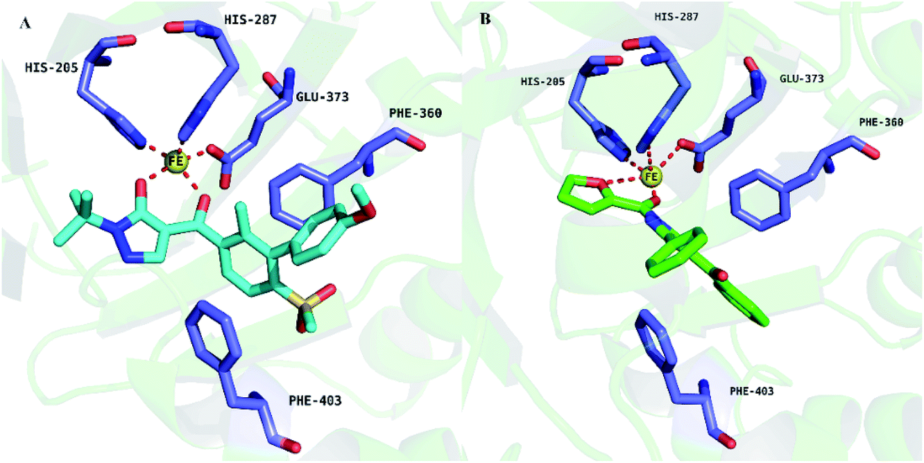 Design, synthesis, and herbicidal activity of pyrazole benzophenone derivatives - RSC Advances ...
