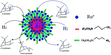 Preparation of cis -pinane via α-pinene hydrogenation in water by using ...