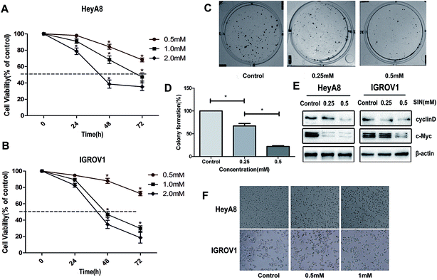 Sinomenine inhibits ovarian cancer cell growth and metastasis by ...