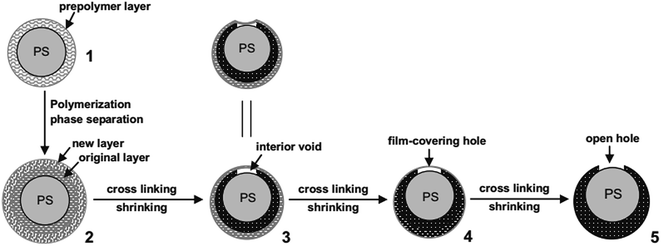 Hollow polymer particles: a review - RSC Advances (RSC Publishing) DOI ...