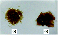 Improved shellac mediated nanoscale application drug release effect in ...