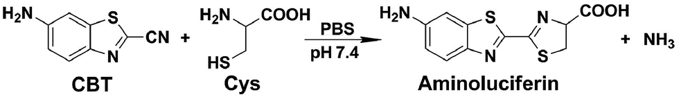 Mechanistic study of CBT-Cys click reaction and its application for ...