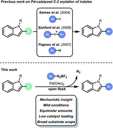 Mild and selective base-free C–H arylation of heteroarenes: experiment ...