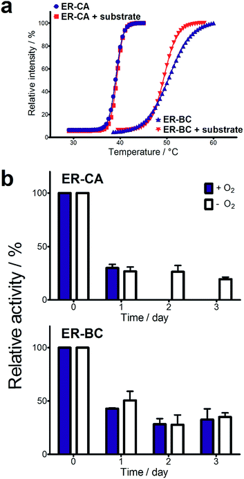 Alkene hydrogenation activity of enoate reductases for an ...