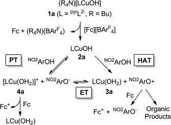 Reactivity of the copper( iii )-hydroxide unit with phenols - Chemical ...