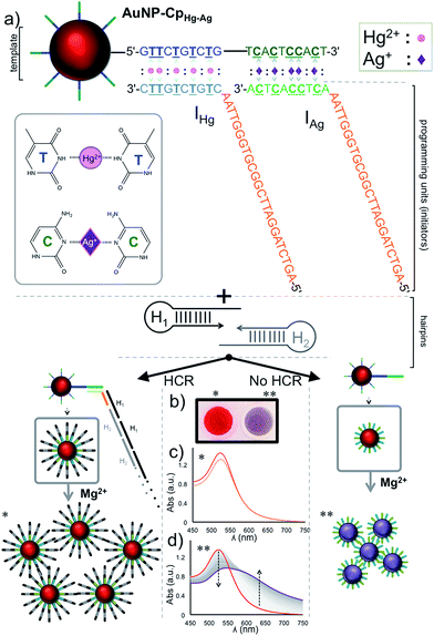 Low picomolar, instrument-free visual detection of mercury and silver ...