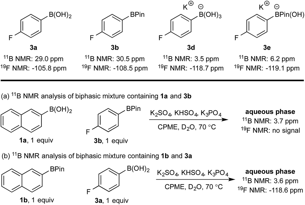 Chemoselective oxidation of aryl organoboron systems enabled by boronic ...
