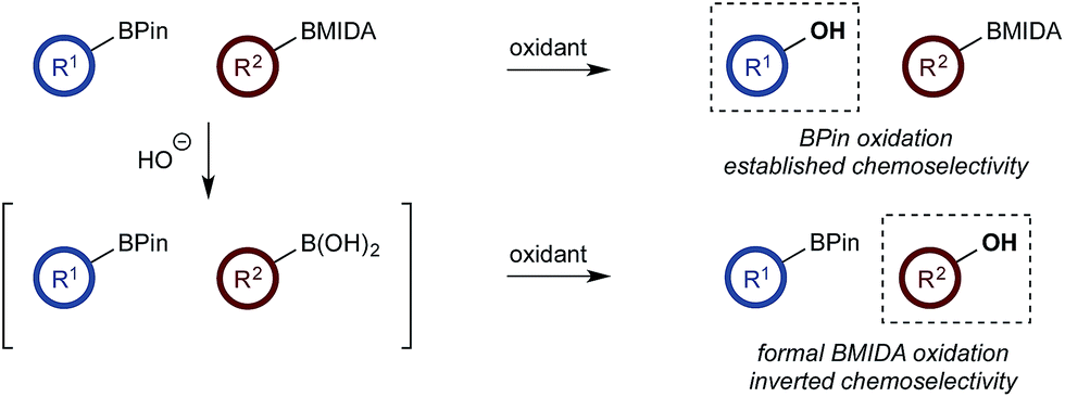 Chemoselective oxidation of aryl organoboron systems enabled by boronic ...