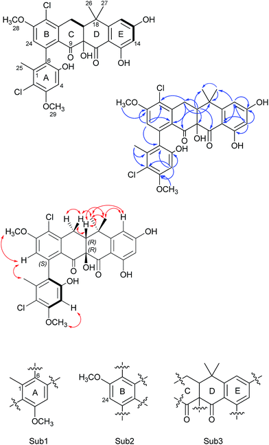 Formicamycins, antibacterial polyketides produced by Streptomyces ...