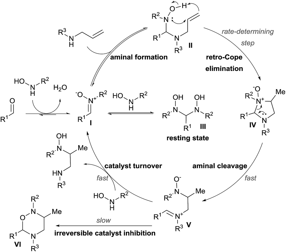 In situ tether formation from amines and alcohols enabling highly ...