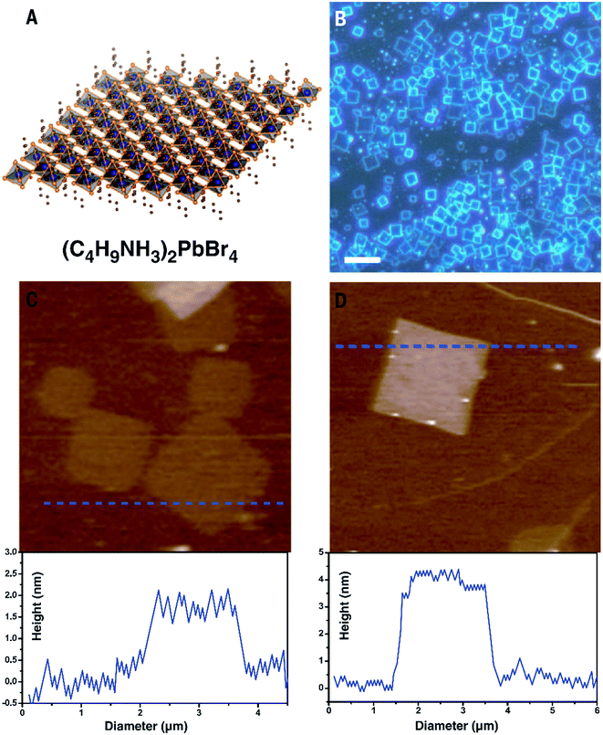 Metal halide perovskite nanomaterials: synthesis and applications ...