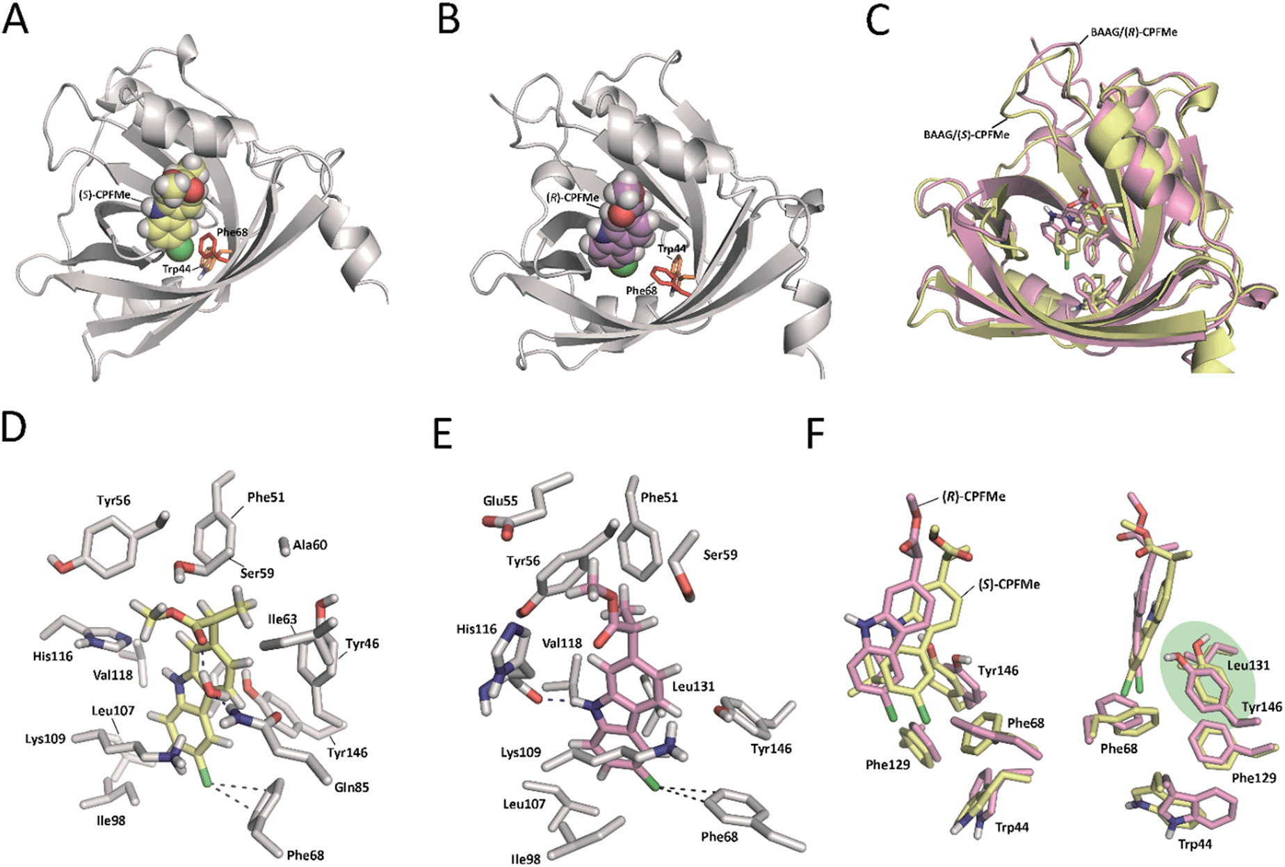 Mapping a protein recognition centre with chiral photoactive ligands ...