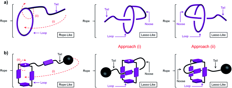 Radically promoted formation of a molecular lasso - Chemical Science ...