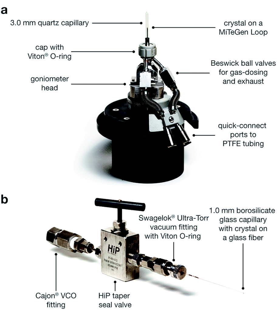 Structural characterization of framework–gas interactions in the metal ...