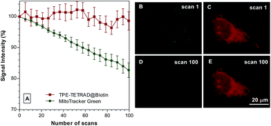 Functionalized AIE nanoparticles with efficient deep-red emission ...