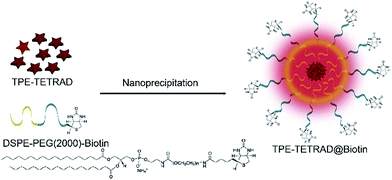 Functionalized AIE nanoparticles with efficient deep-red emission ...