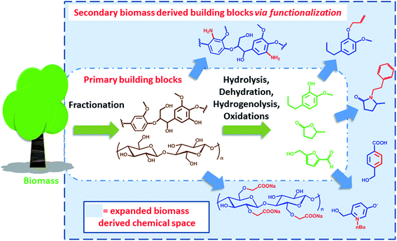 Expanding the biomass derived chemical space - Chemical Science (RSC ...