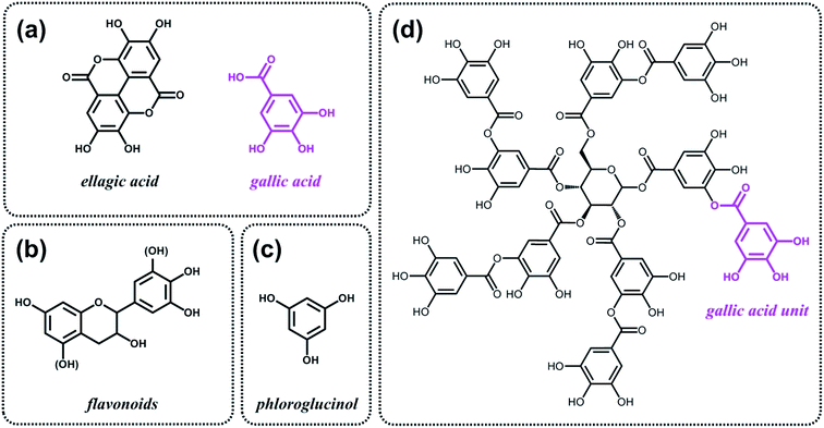 Expanding the biomass derived chemical space - Chemical Science (RSC ...