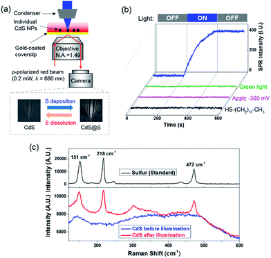 Visualizing the bidirectional electron transfer in a Schottky junction ...