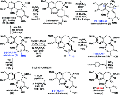 Enantioselective total synthesis of (−)-colchicine, (+)-demecolcinone ...