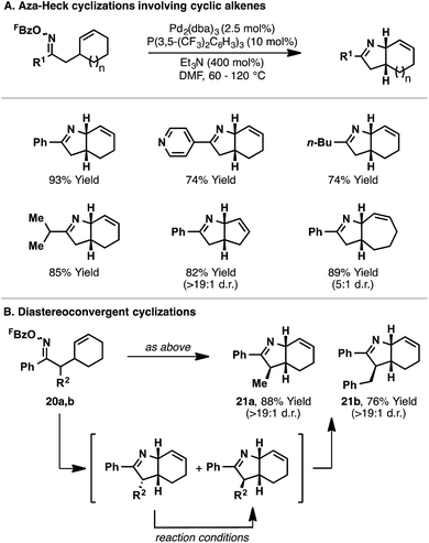 Recent developments in the use of aza-Heck cyclizations for the ...
