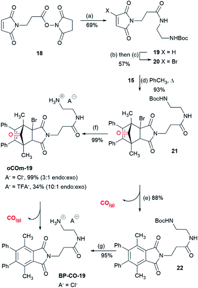Norborn-2-en-7-ones as physiologically-triggered carbon monoxide ...