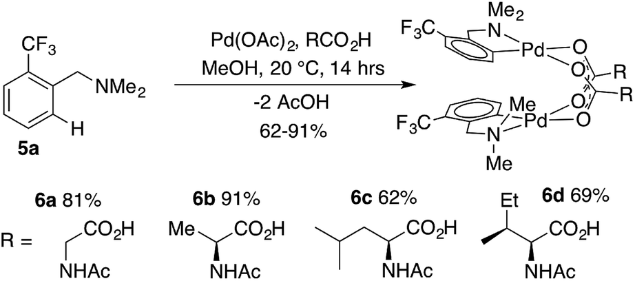 Mono- N -protected amino acid ligands stabilize dimeric palladium( ii ) complexes of importance ...